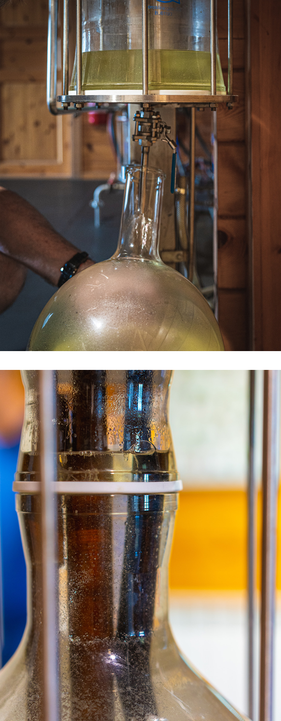 How We Produce Our Organic Wild Lavender Vera Essential Oil and Hydrosol