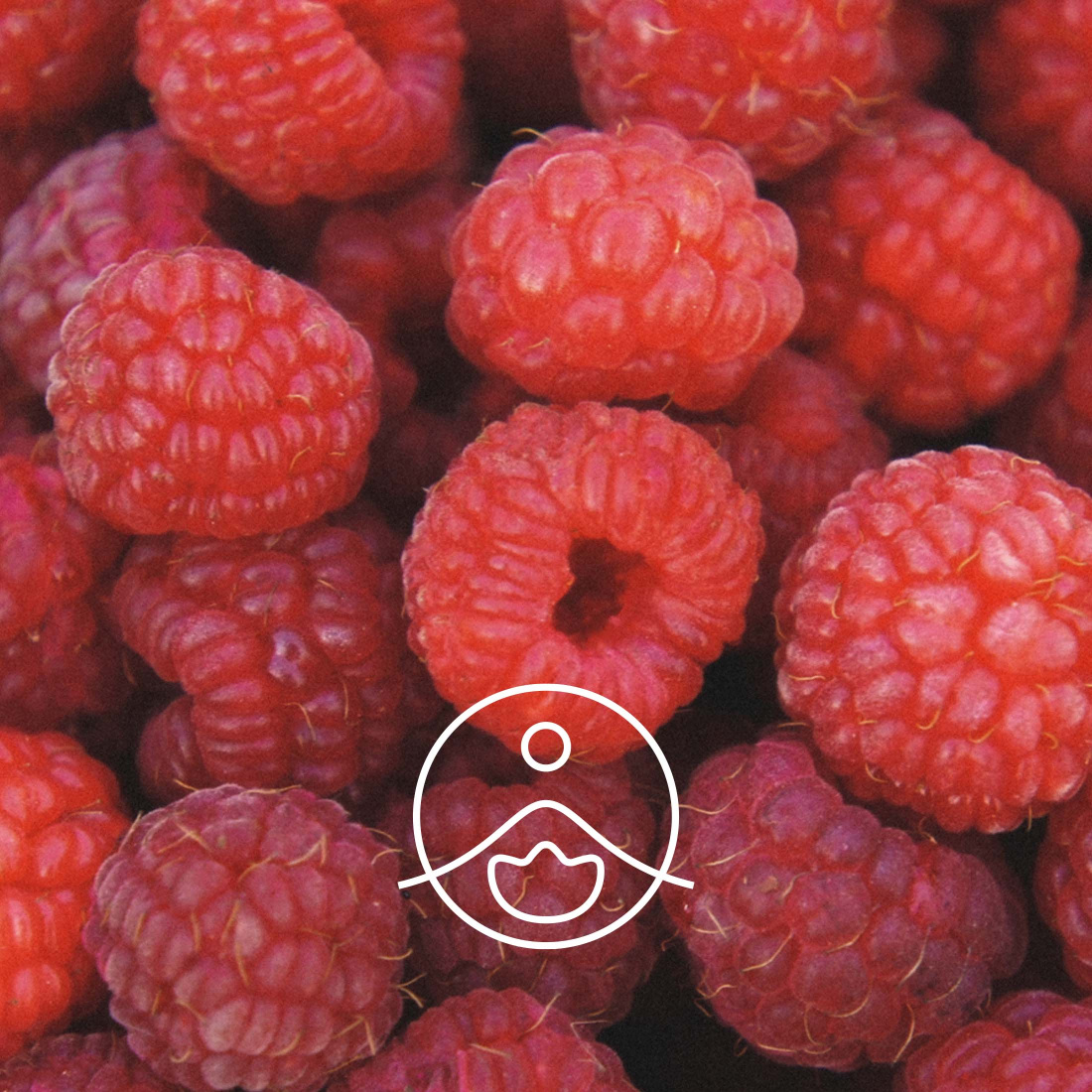 CO2 Extract Raspberry Seed Organic| Florihana