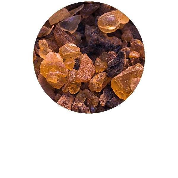 Myrrh Organic Essential Oil | Florihana